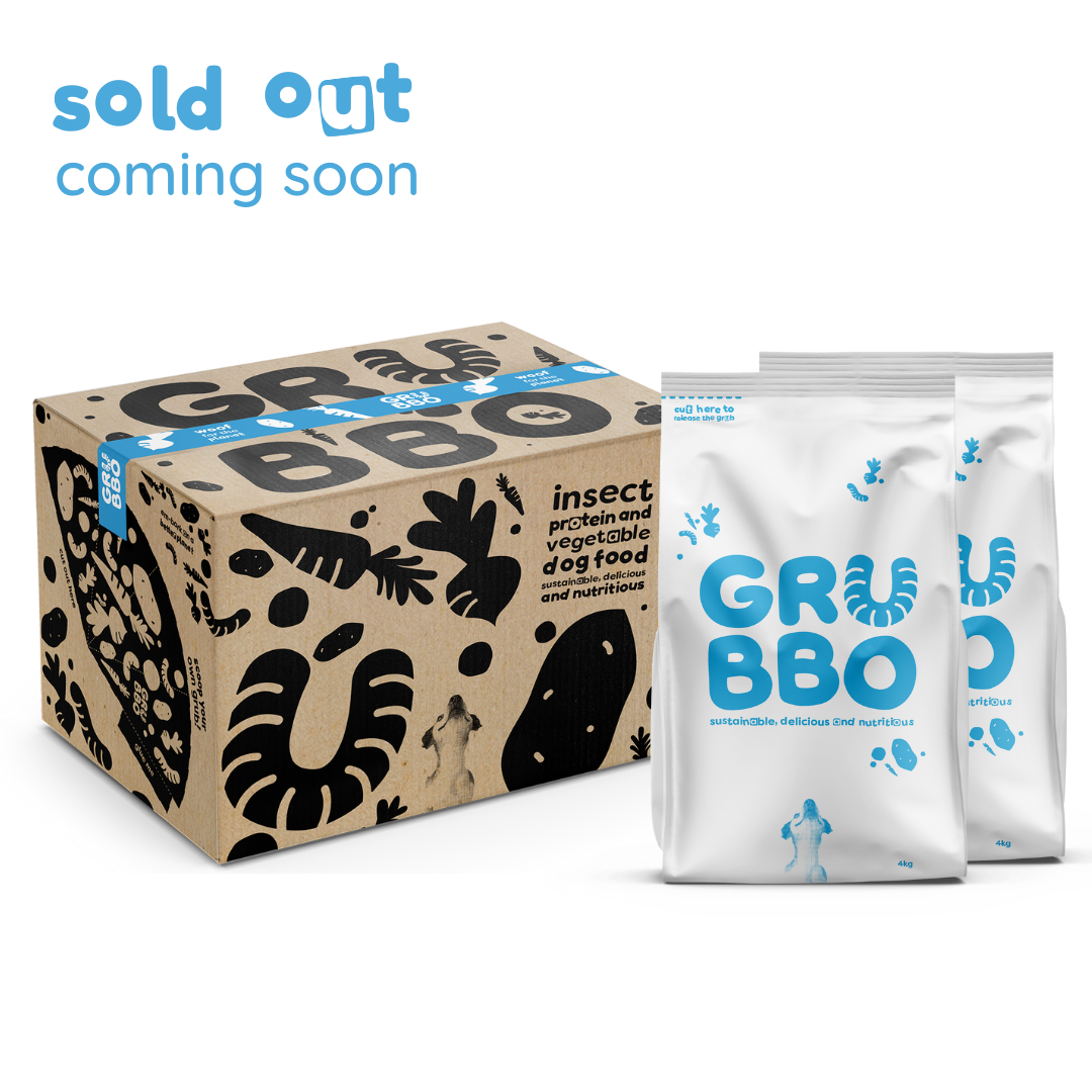Grubbo Insect Protein Dog food. Nutritious, Sustainable and Delivered ...